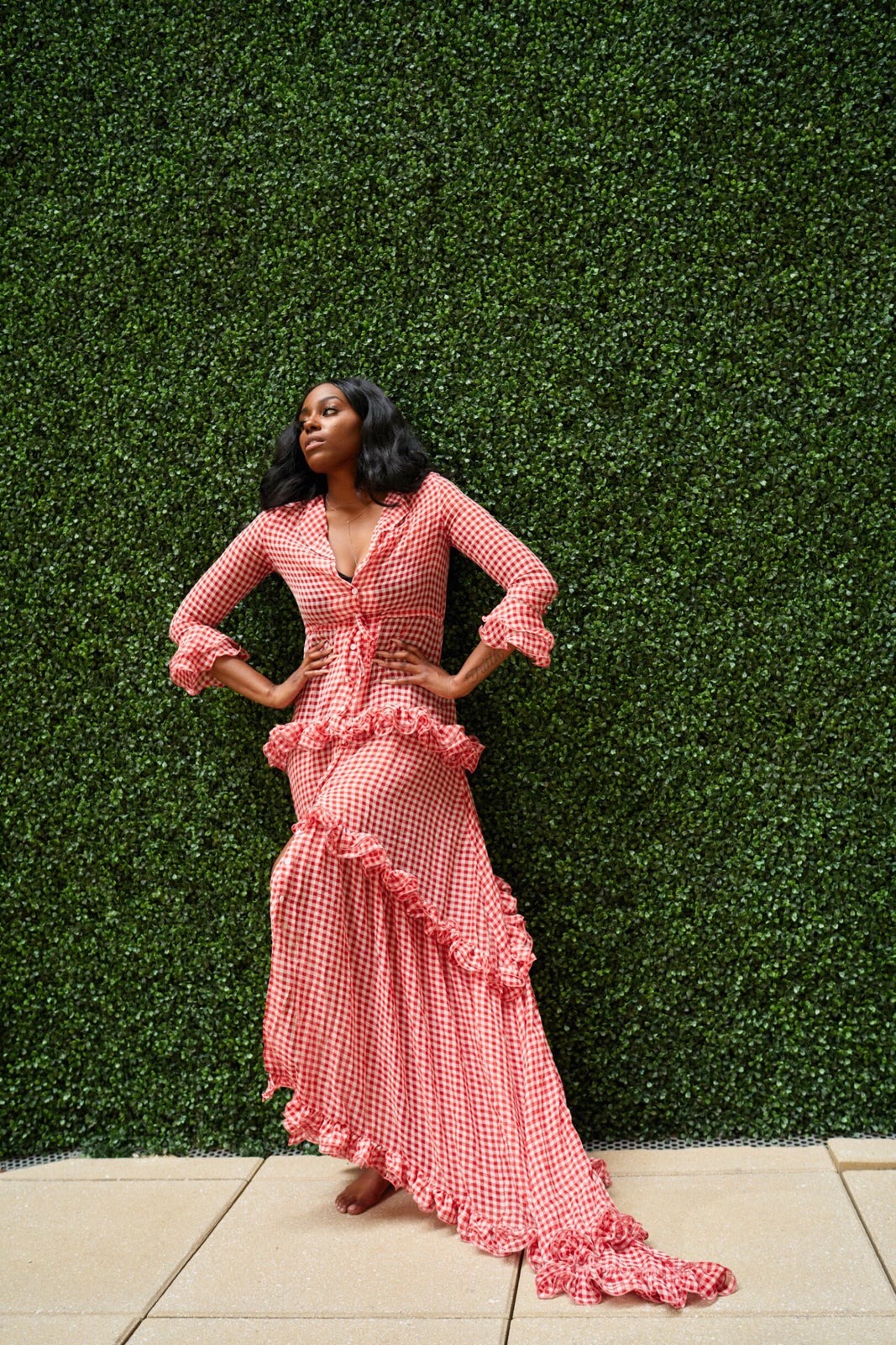 Sheer Chic Picnic Dress | Dress – Shop Royal Pink